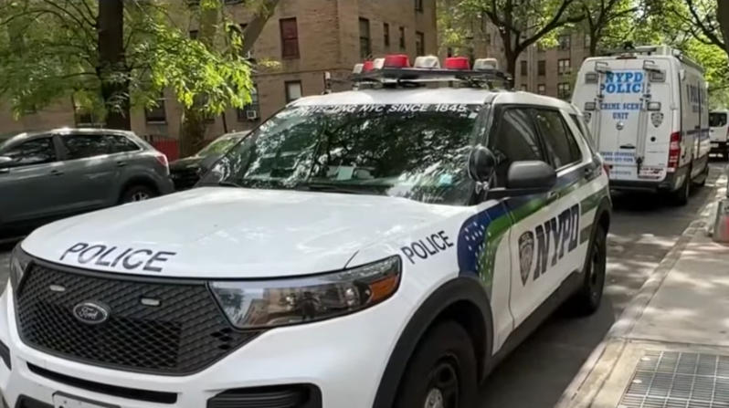 Infant Dies After Dog Attack in Family's Queens Apartment - Ballot News